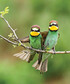 Listen to Love / The Christian Science Journal